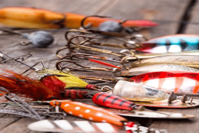 Introduction to fish's sense of smell and taste and side sense touch ...