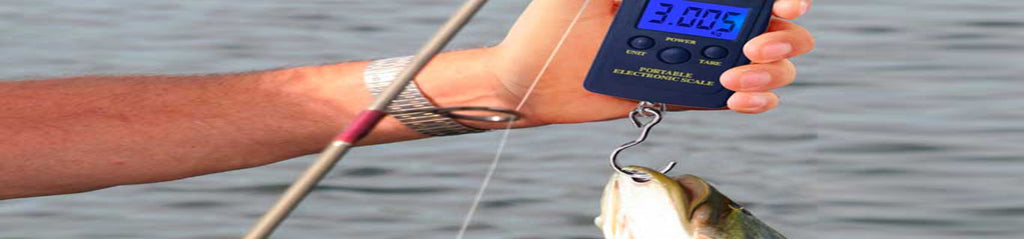 Fishing Scale | Accessories | AMYSPORTS
